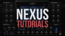How to Use Nexus VST Plugin ( Free Nexus Tutorials )