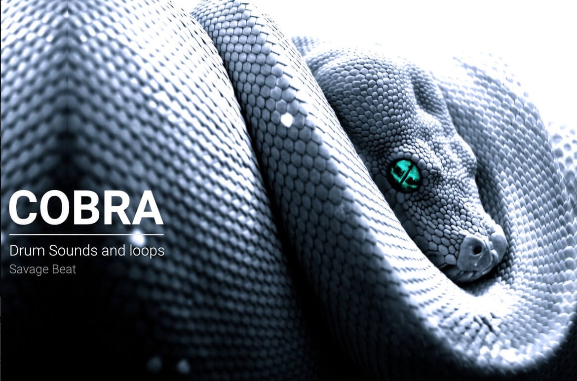 25 Best FREE Sample Kits For Producers To Download! [2025]