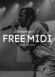 2,000 Free MIDI Loops & MIDI Loops Packs [2025]