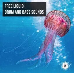 1,200 Free Drum & Bass Samples, Loops, & Sample Packs