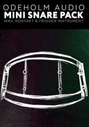 1,600 Free Snare Drum Samples, Loops, Snare Sample Packs