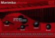 FREE Marimbaphonic Marimba VST w/ 122 Samples